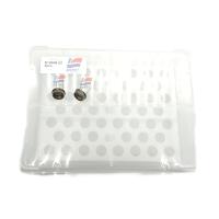 China S12698-02 Silicon Photodiode with 800nm Peak Sensitivity and 0.38A/W UV Monitoring for High Reliability Applications for sale
