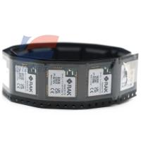 China RAK3172 LoRa Module STM32WLE5CC LoRaWAN Protocol Low Power 1.69A SMD 15.5x15mm for sale