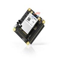 China YJJ RAK5146 PiHAT Concentrator Module Suitable for LoRaWAN for Sensor Data Collection for sale