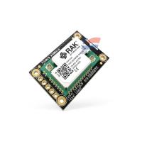 China YJJ RAK4631 Nordic NRF52840 BLE Core Module Supports LoRa SX1262 for Industrial Low-Power Monitoring for sale