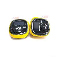 China BWS2-M-Y-CN  Serviceable Single Gas Detector Specially Calibrated for Carbon Monoxide Detection Industrial Equipment Inspection for sale