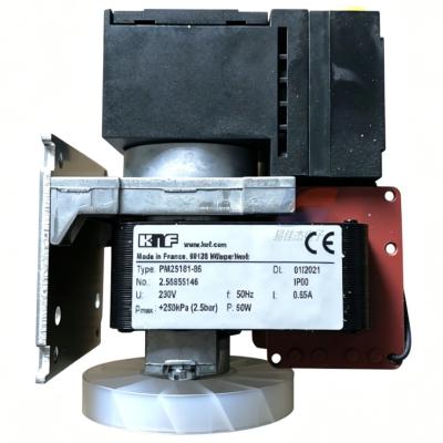 China YJJ PM25181-86 KNF Corrosion Resistant Gas Sampling Pump N86KTE for Industrial Flue Gas Extraction for sale