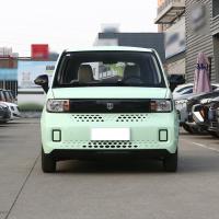 China 2022 Chinese EV 4 Wheel Supply Mini Car Low Speed Vehicle for Your Benefit for sale
