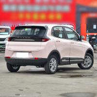 China Electric SUV Dayun Yuehu Left and Right Rudder Electric Vehicle for Energy Vehicles for sale