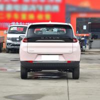 China Electric SUV Dayun Yuehu Left and Right Rudder Electric Vehicle for Energy Vehicles for sale