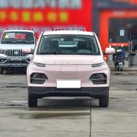 China Electric SUV Dayun Yuehu Left and Right Rudder Electric Vehicle for Energy Vehicles for sale
