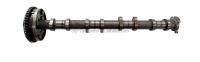China Engine Camshaft for VW Audi Lavida POLO Tiguan Lamendo C6 B9 Q5 03C109101CP 03C109101CQ for sale
