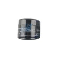 China JMC Carrying 4/5 Version Truck GN16614CA Original Product Car Engine Oil Filter Ford for sale