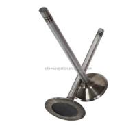 China Engine Valve for Lavida Sagitar T-ROC Jetta CC MT Tiguan A4 A6 A8 C6 C7 Q5 Q7 1.2-6.0T for sale