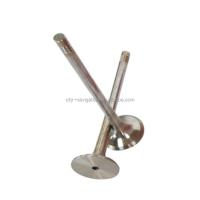 China Engine Valve for Lavida Sagitar T-ROC Jetta CC MT Tiguan A4 A6 A8 C6 C7 Q5 Q7 1.2-6.0T for sale