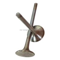 China Engine Valve for Lavida Sagitar T-ROC Jetta CC MT Tiguan A4 A6 A8 C6 C7 Q5 Q7 1.2-6.0T for sale