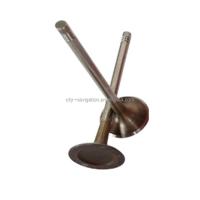 China Engine Valve for Lavida Sagitar T-ROC Jetta CC MT Tiguan A4 A6 A8 C6 C7 Q5 Q7 1.2-6.0T for sale