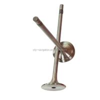 China Engine Valve for Lavida Sagitar T-ROC Jetta CC MT Tiguan A4 A6 A8 C6 C7 Q5 Q7 1.2-6.0T for sale