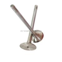 China Engine Valve for Lavida Sagitar T-ROC Jetta CC MT Tiguan A4 A6 A8 C6 C7 Q5 Q7 1.2-6.0T for sale