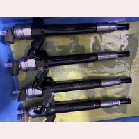 China 0445110376 0445110808 0445110531 Common Rail Injector for Foton/ Cummins Engine 100% for sale