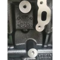 China JMC/Jiangling Duratorq 4D22 Long Block Engine Assembly Euro 5 for Commercial Vehicles for sale