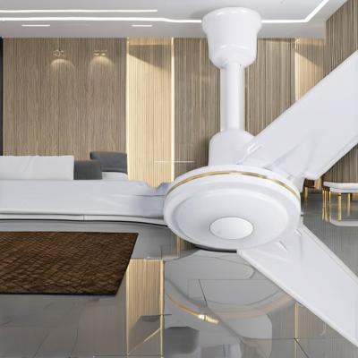 China Factory Smart 42 Inch Modern LED Ceiling Fans Electric Power Source 220V Iron Blade for sale