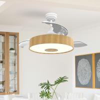 China Manufactory European Style BLDC Ceiling Fan 42 Inch Retractable Ceiling Fan With Light And Remote for sale