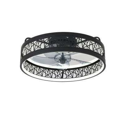 China Modern Ceiling Chandelier Fan With Remote Control Dining Room Bedroom ABS 50cm Large LED Ceiling Fans for sale