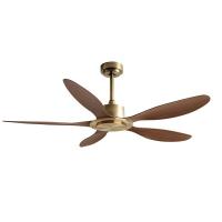 China Wholesale factory, Indoor Modern Ceiling Fan Frequency Conversion 56 Inch Remote Control Light Free Ceiling Fan for sale