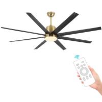 China Manufacturer Inches Black White Modern Fan Light Ceiling Fan with Light for sale