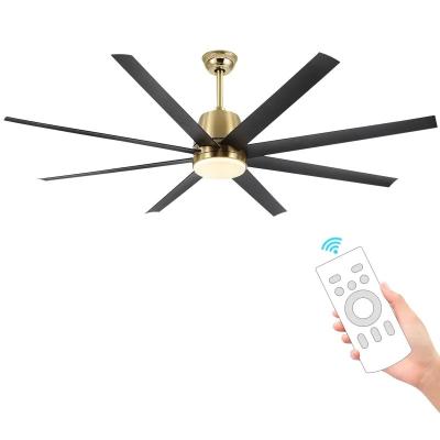 China Manufacturer Inches Black White Modern Fan Light Ceiling Fan with Light for sale