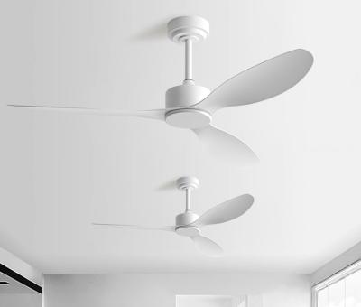 China Manufacturer White Outdoor Ceiling Fan Plastic Blade Dc Motor Smart Waterproof Ceiling Fan with Remote Control for sale