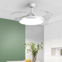 China Manufacturer Bedroom 42 Inch Indoor Decorative Fandelier Remote Control Smart Bldc Modern Led Ceiling Fan with Light for sale