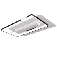 China Manufacturer High Quality Decorative Indoor Ceiling Fan Modern HFBH Ceiling Fan With Light and Remote Control for sale