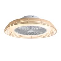 China Wholesale factory 18 Inch Rattan Caged Fan Light Smart Tuya APP Control Ventilador Modern LED Ceiling Fan With Remote Control for sale