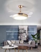China Wholesale    Modern LED Ceiling Fan Light for Home and Restaurant Bluetooth Mute Simple Invisible Iron Chandelier 220V for sale