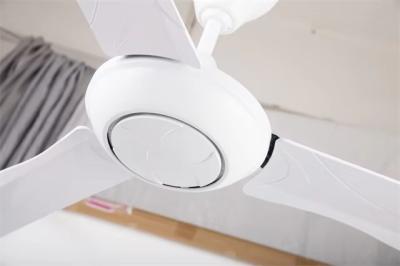 China wholesale   Modern Dc Electric Motor Cooling Fan Lamp Abs Blade Plastic Ceiling Fan With Light for sale