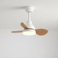 China Wholesale Factory 3000k Warm White Home Ceiling Fans Class A Energy Efficiency Rating And DC Motor for sale