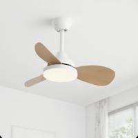 China Manufacuture Contemporary Design Home Ceiling Fans 3000k With DC MOTOR For Surface Mounted Installation for sale
