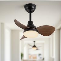 China Wholesale Remote Control 3000k Living Room Ceiling Fan With Light Included Light Kit for sale