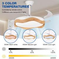 China Outstanding Power Hot Selling 42 Inch Natural Wind Slient Bedroom Living Room Remote Control Dimmable 3CCT Invisible Led Ceiling Fan for sale