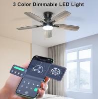 China Indoor Decor Ceiling Fan 42 Inch DC Inverter Ceiling Fan 6 Speed/5 Piece Plywood Blades Ceiling Fan with Remote Control for sale