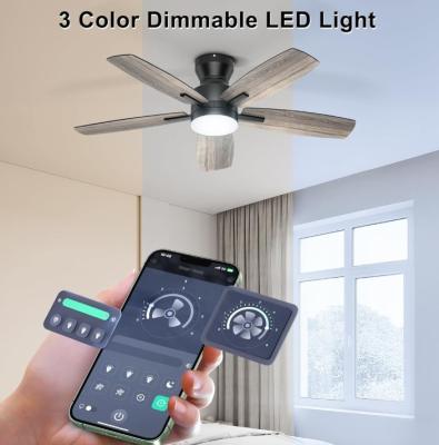 China Indoor Decor Ceiling Fan 42 Inch DC Inverter Ceiling Fan 6 Speed/5 Piece Plywood Blades Ceiling Fan with Remote Control for sale