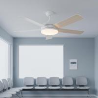 China Reversible Blades Economical Ceiling Fan With Light Adjustable Brightness Perfect For Hospitals Clinics And Waiting Areas for sale