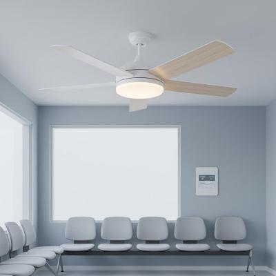 China Reversible Blades Economical Ceiling Fan With Light Adjustable Brightness Perfect For Hospitals Clinics And Waiting Areas for sale