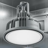 China Downrod Mount Damp Proof LED Ceiling Light Durable Waterproof Fixture Perfect for Food Processing Areas and Cold Storage for sale