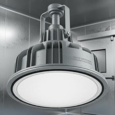 China Downrod Mount Damp Proof LED Ceiling Light Durable Waterproof Fixture Perfect for Food Processing Areas and Cold Storage for sale
