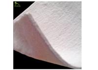 China Non Woven River Bank Construction Short Filament Geotextile Fabric 500g Filtration for sale