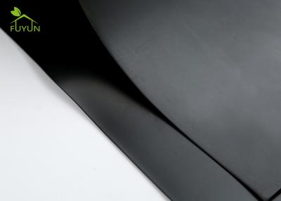 China 350gsm Plastic Sheet For Fish Pond , PVC Geomembrane Fabric Under Asphalt for sale