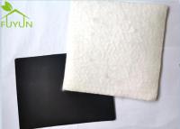 China 500g/M2 0.8mm High Density Polyethylene Pond Liner HDPE Plastic Geomembrane for sale