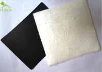 China 400-1000g/M2 HDPE Lining For Water Tank , 150/0.25 PET Waterproof Geomembrane for sale
