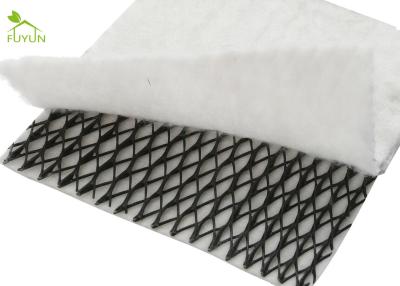 China 3D Drainage Geocomposite Drainage Layer Roadbed Protect Filter for sale