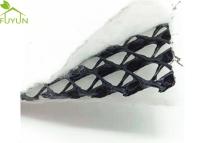 China High Tensile Strength Drainage Geocomposite for sale