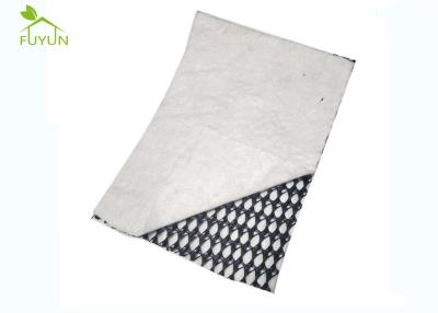 China Puncture Resistance 2m Width Drainage Geocomposite Underground Structure Engineering for sale