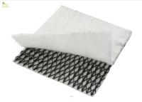 China Roadbed Protect Filter HDPE Composite Drainage Geomat AntiHypertensive for sale